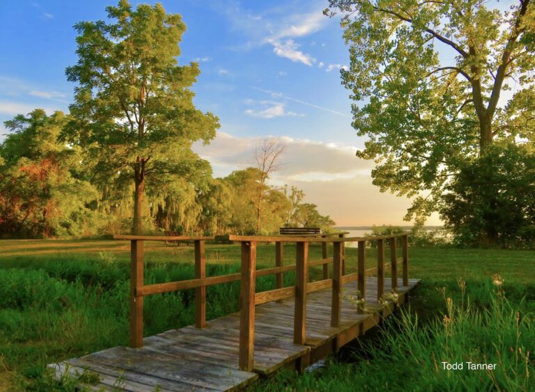 Events – Town of Springport